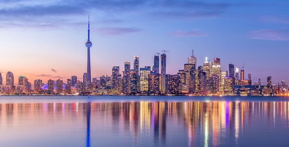 Meet Maria Parysz, CEO of Elephant AI